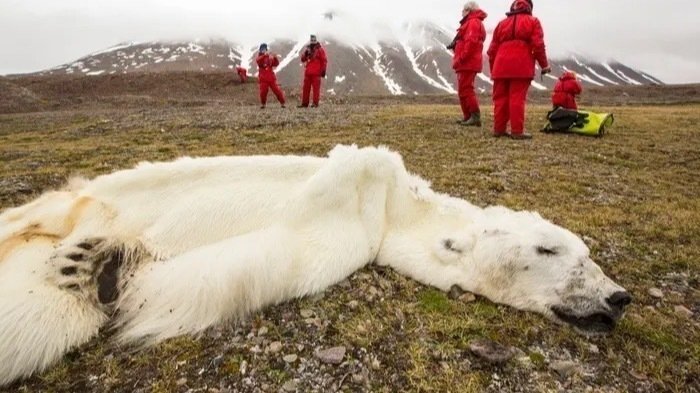 Petition · The Willow Project - Canada · Change.org