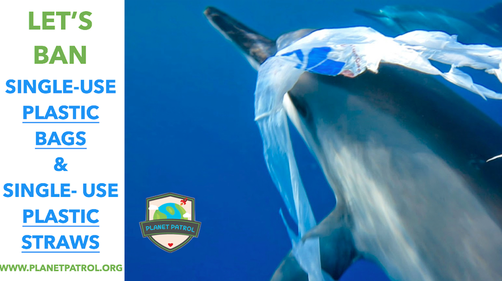 Petition · Ban Single Use Plastic Bags and Straws in Key Biscayne - Key ...