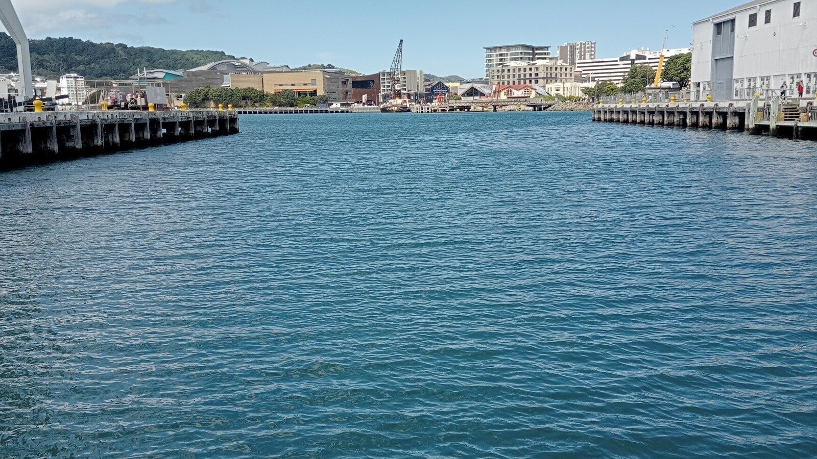 Petition · Stop "no fishing" signs around Wellington waterfront ...