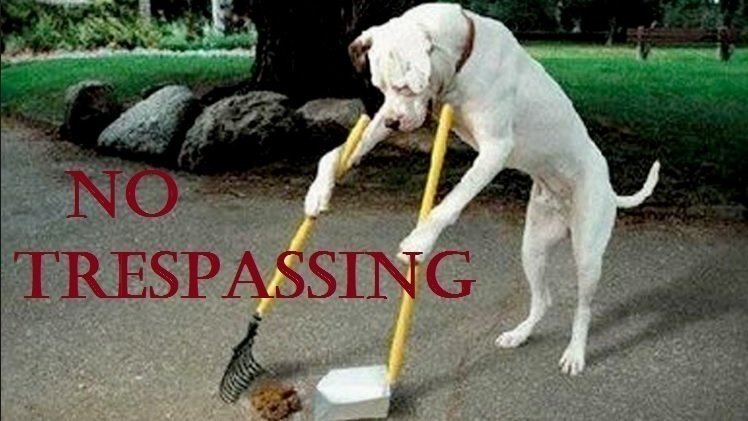 Petition · Stop irresponsible dog owners from trespassing and putting ...