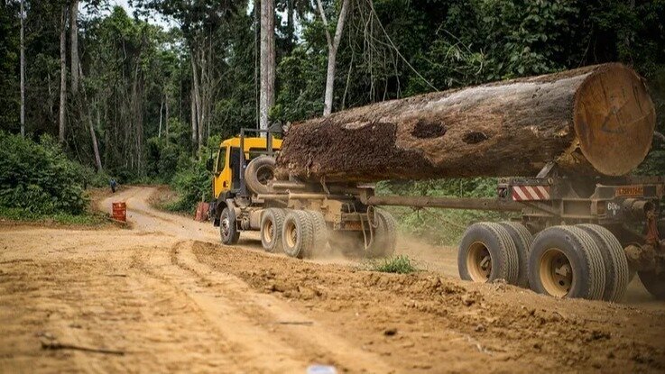 Pétition · CLASSIFYING 68,000HA OF EBO FOREST FOR LOGGING: THREAT TO ...