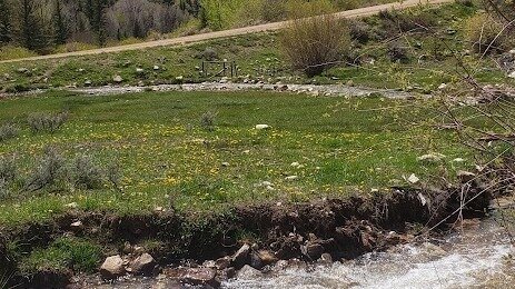 Petition · Save Larsen Springs! - United States · Change.org