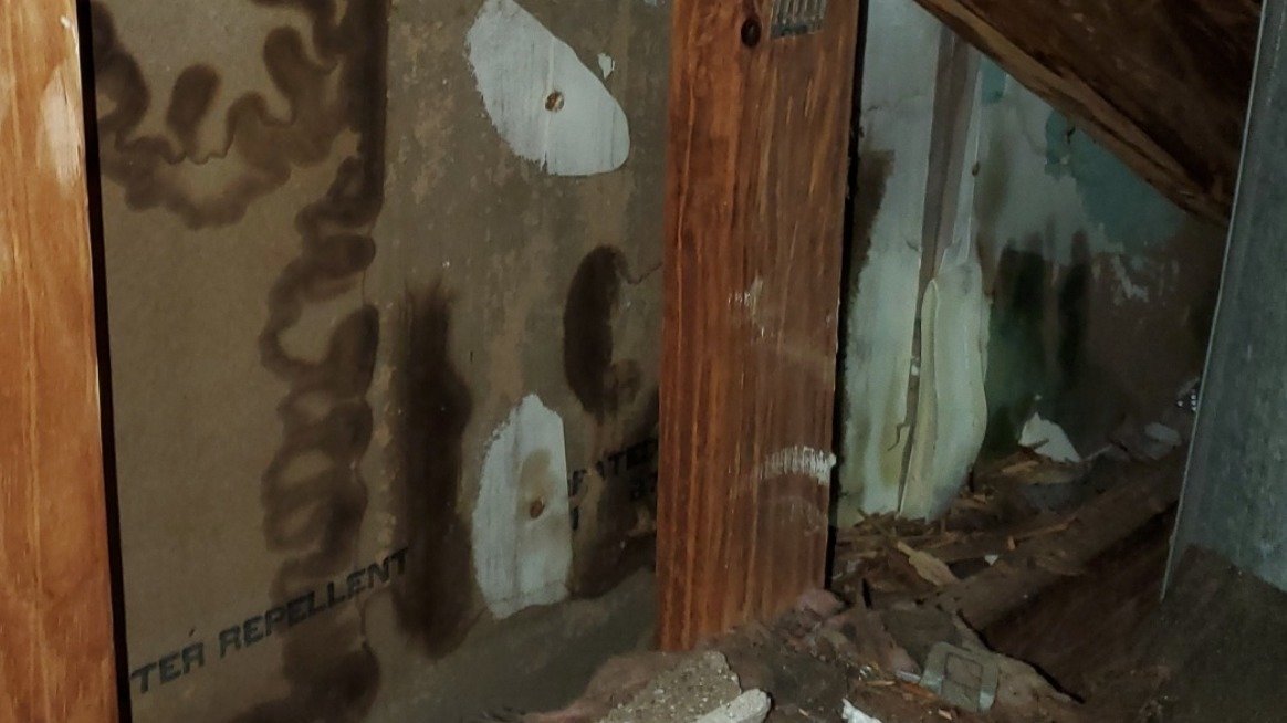Petition · Take A Stand For No More Water Damage and Mold! - United ...