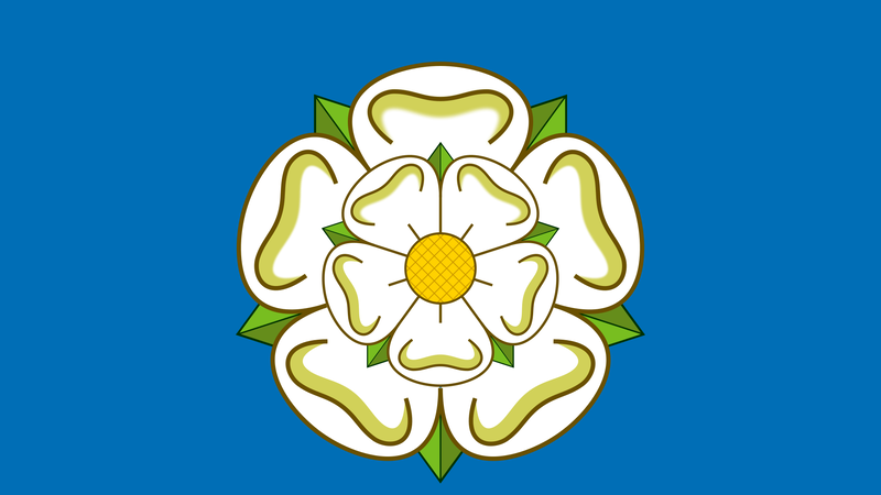 Petition · Replace the European Union flags in Hull with Yorkshire ...