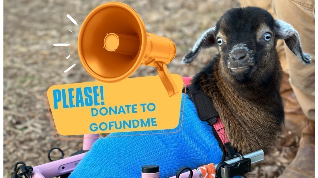 Petition · Stop the City from Shutting Down Fairytale Farm - Winston ...