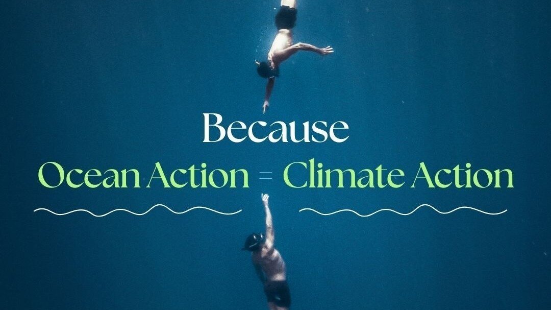 Petition · Ocean Action Is Climate Action: Elevating Ocean-Climate ...