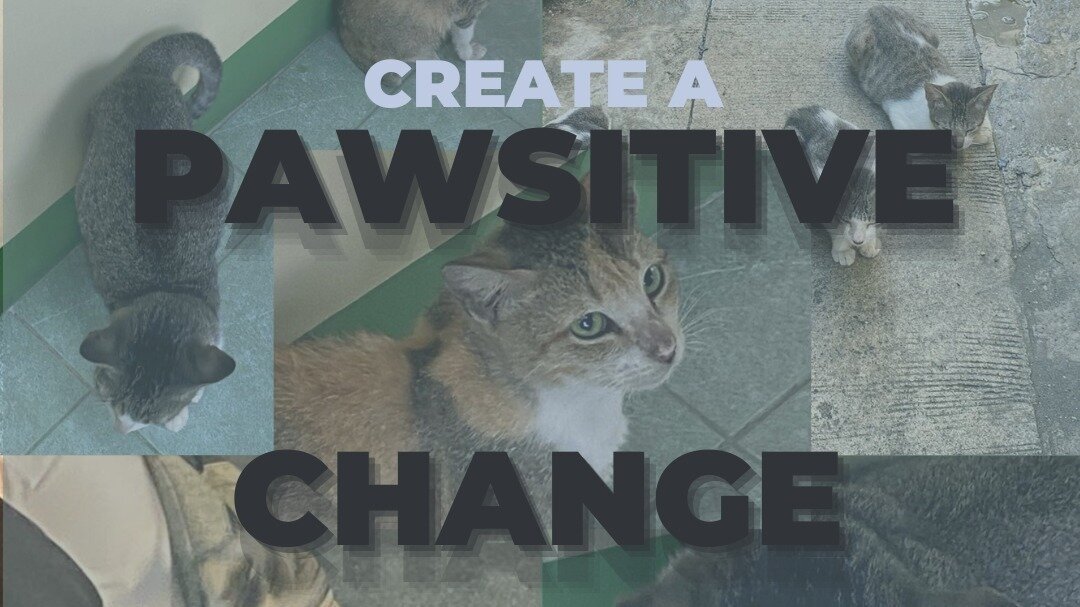 Petition · Pawsitive Change: Advocate for Stray Animal Rescue and Adoption in Parañaque City ...