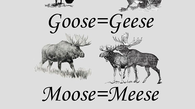 Petition · Have the plural for Moose officially changed to Meese ...