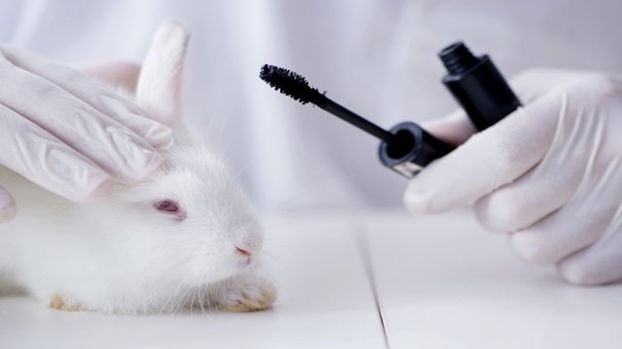 Petition · Beauty, and other sources we use that harms animals ...