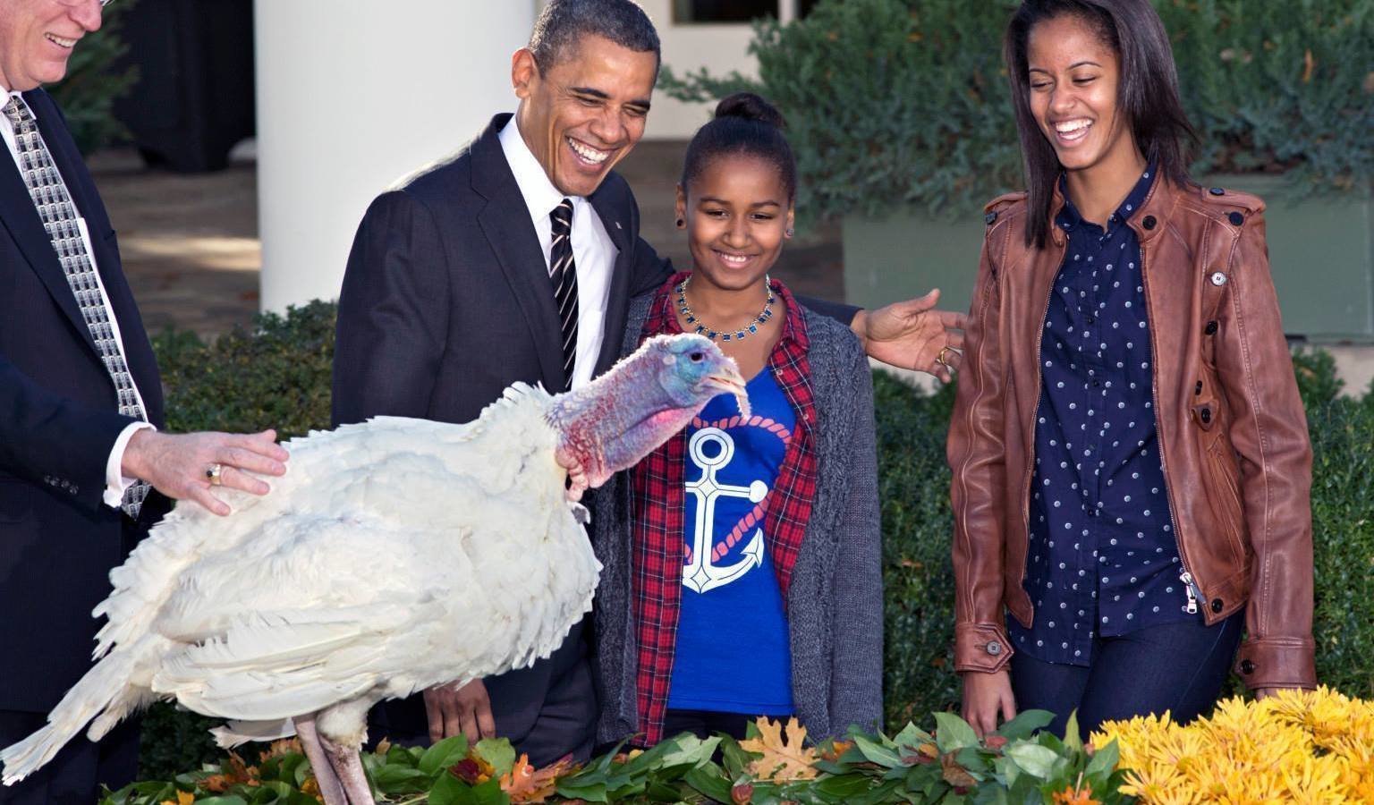 Petition · Talk Sense To Uncle Sam - United States · Change.org