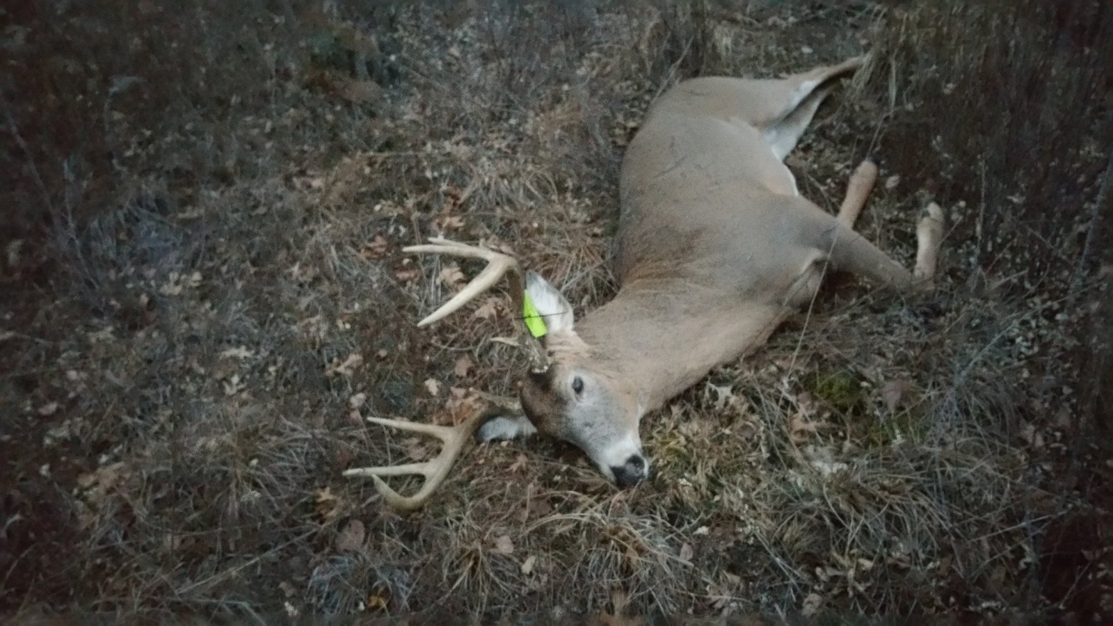 Petition · Non violent Felons rights to hunt - Madison, United States ...