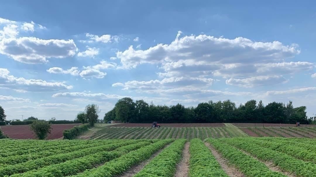 Petition · Change a closure on outdoor farm agritourism so as to allow ...