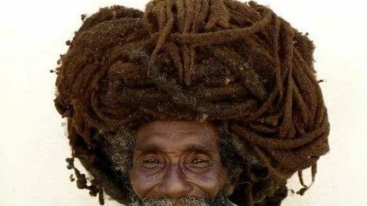 Petition · Elois should get dreadlocks - Australia · Change.org