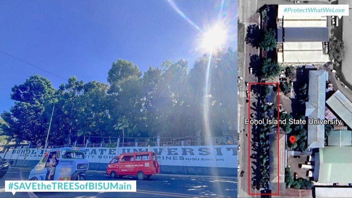 Petition · Save the Trees of BISU Main, Tagbilaran City, Bohol ...