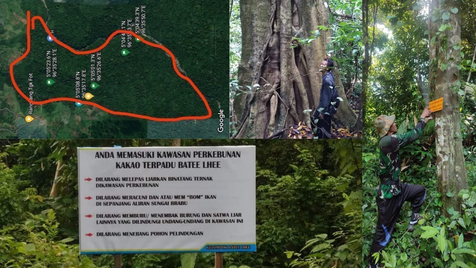 Petisi · Jadikan Hutan di Hulu Sungai Peudada, Rimba Terakhir Aceh Sebagai Hutan Lindung ...