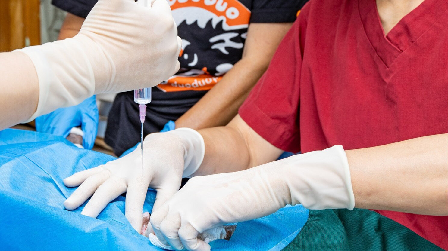 Petition update · Tackle a root cause of the dog and cat meat trade ...