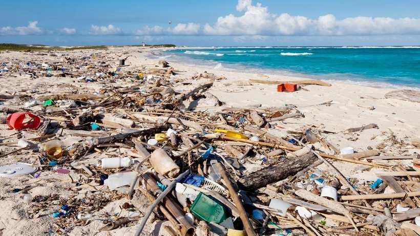 Petition · STOP LITTERING, SAVE THE OCEAN!!! - Australia · Change.org