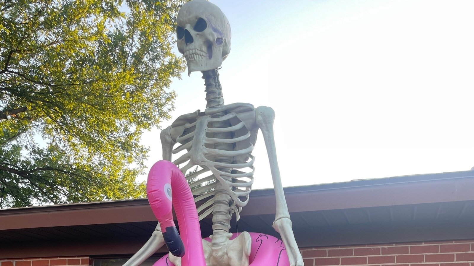 Petition · Keep Skelly Displayed Year-Round in Freedom Estates ...