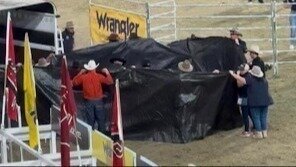 Petition · MAKE RODEO OPERATORS REPORT THE DEATHS AND INJURIES THEY ...