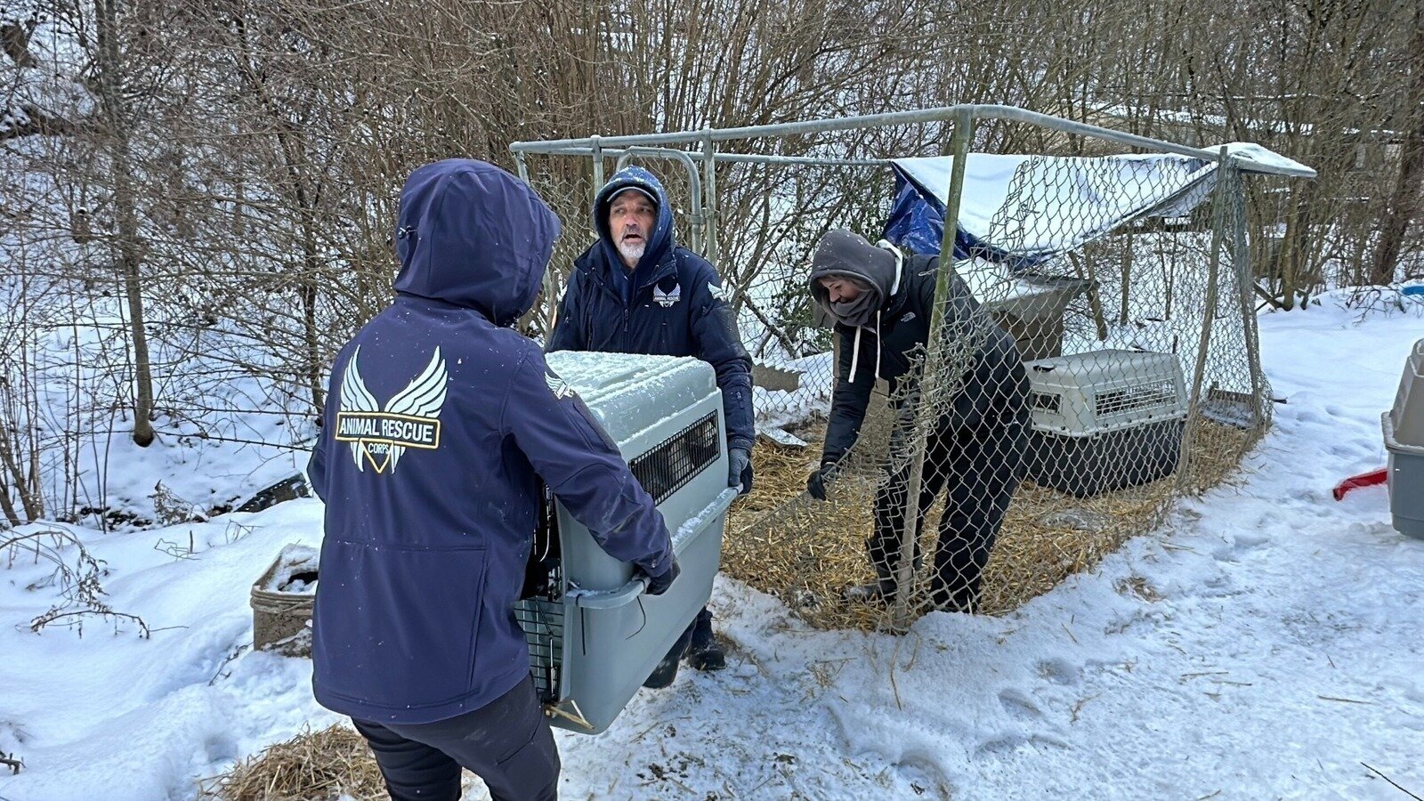 Petition · Expand Winter Rescue Response to Save Animals Facing ...
