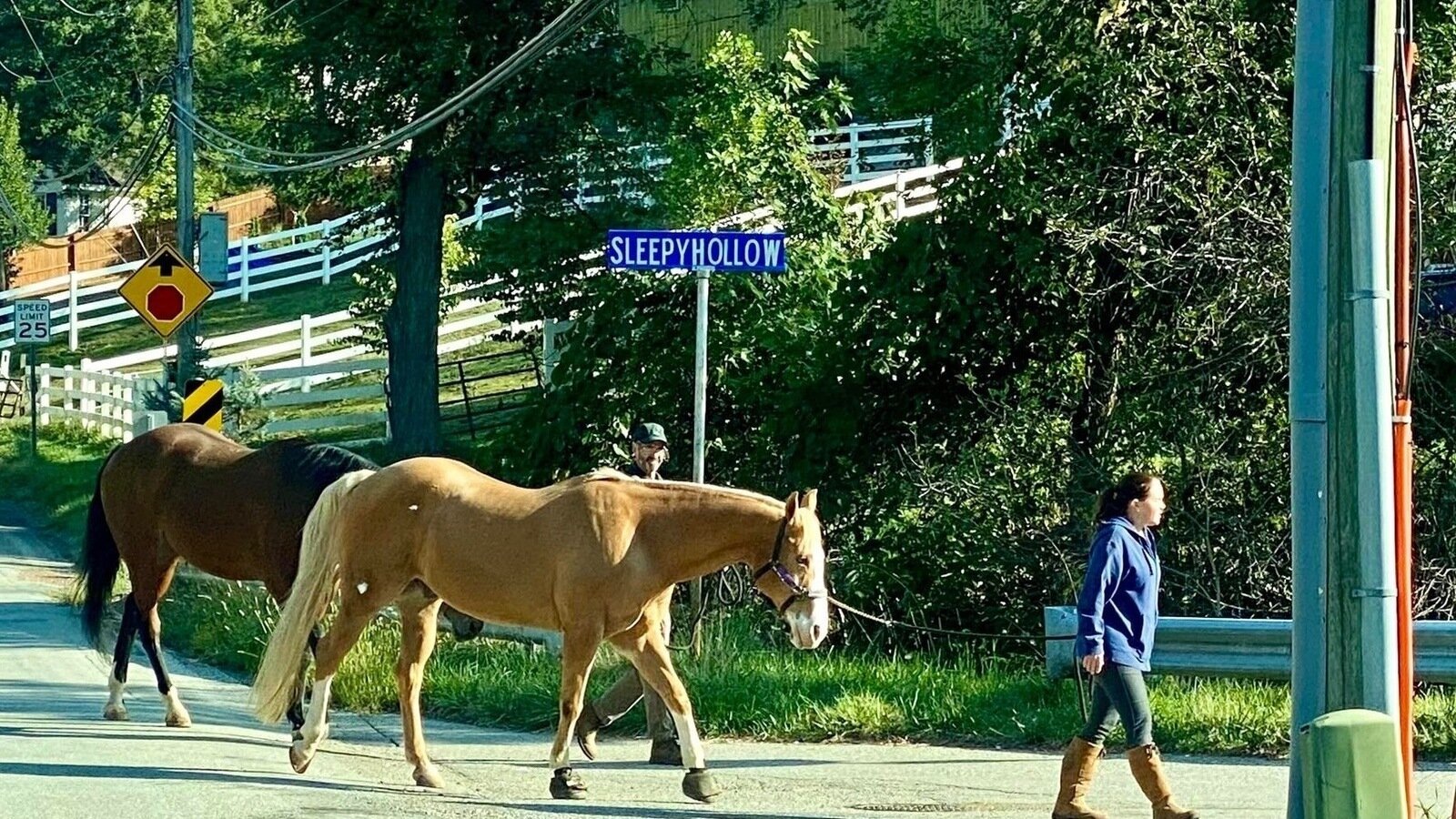 Petition · STOP the Development of Sleepy Hollow in South Park Township ...