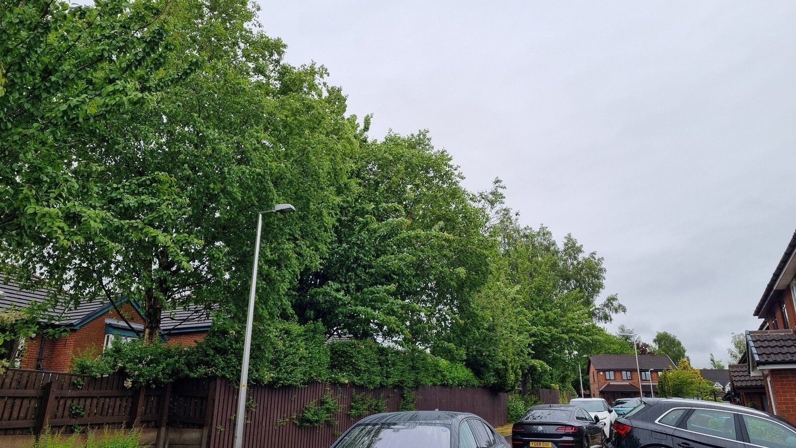 Petition · Urge Onward Homes to Trim Trees in Eller Brook Close, Heath ...