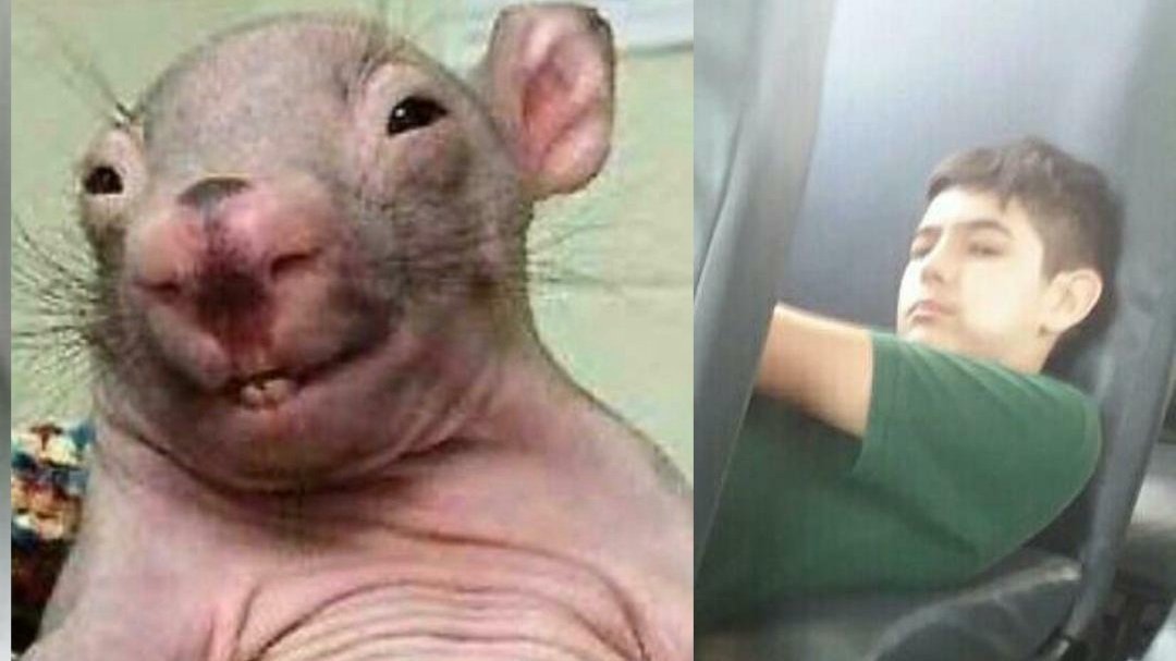 Petition · Devin Is A Rat - United States · Change.org