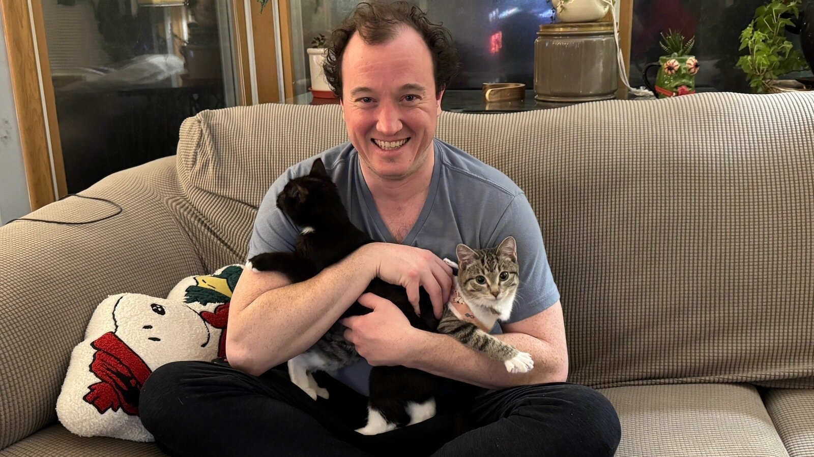 Petition · Convince Mark to name one of his cats “Mark Jr.” - United ...