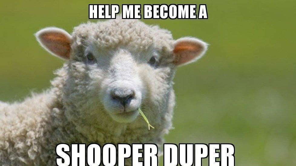 Petition · Change the singular name of sheep to shoop - Israel · Change.org