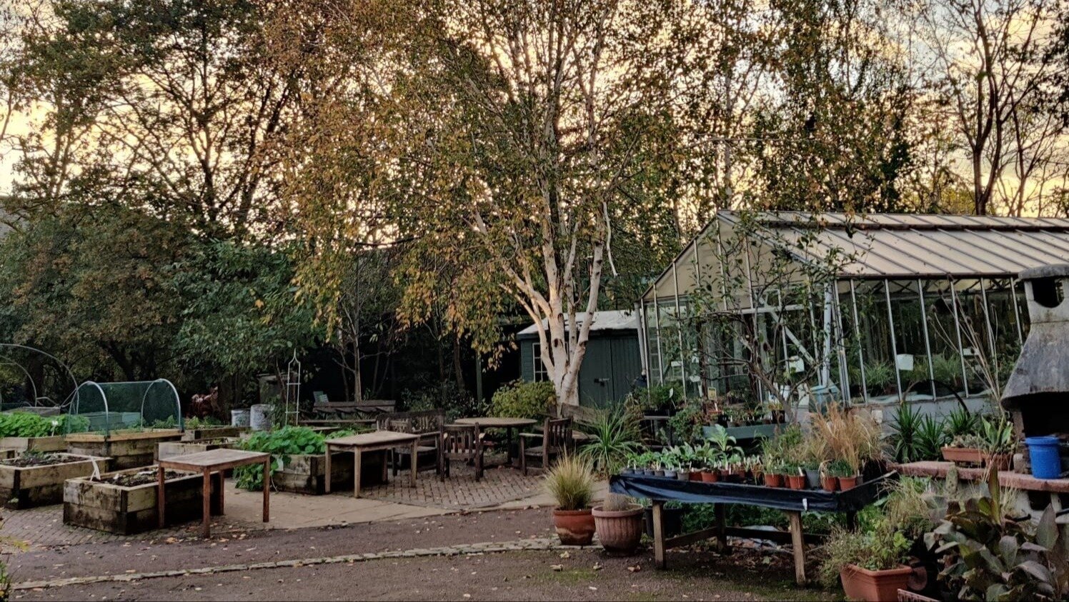 Petition · Preserving the benefit of St Mary's Secret Garden Hackney ...
