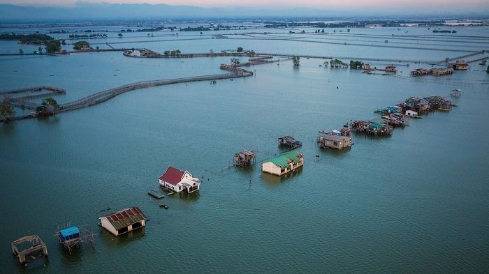 Petition · Circle of Poison - Philippines · Change.org