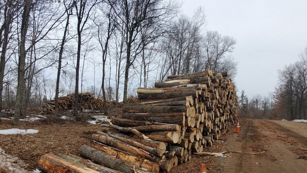 Petition · Preserve Whitebirch Park - Halt the Disc Golf Course ...