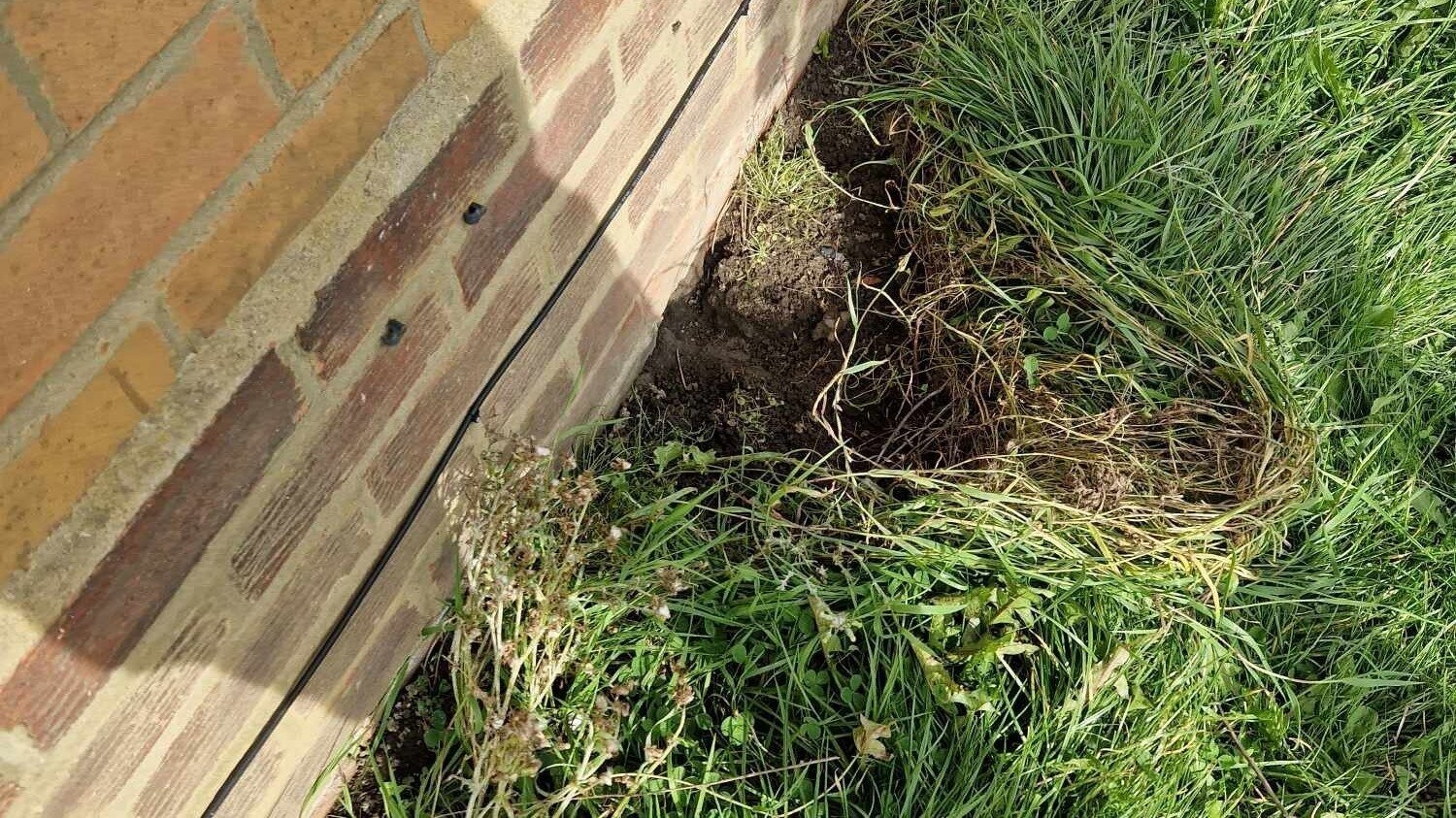Petition · Demand Immediate Action Against Rat Infestations in Peterlee ...