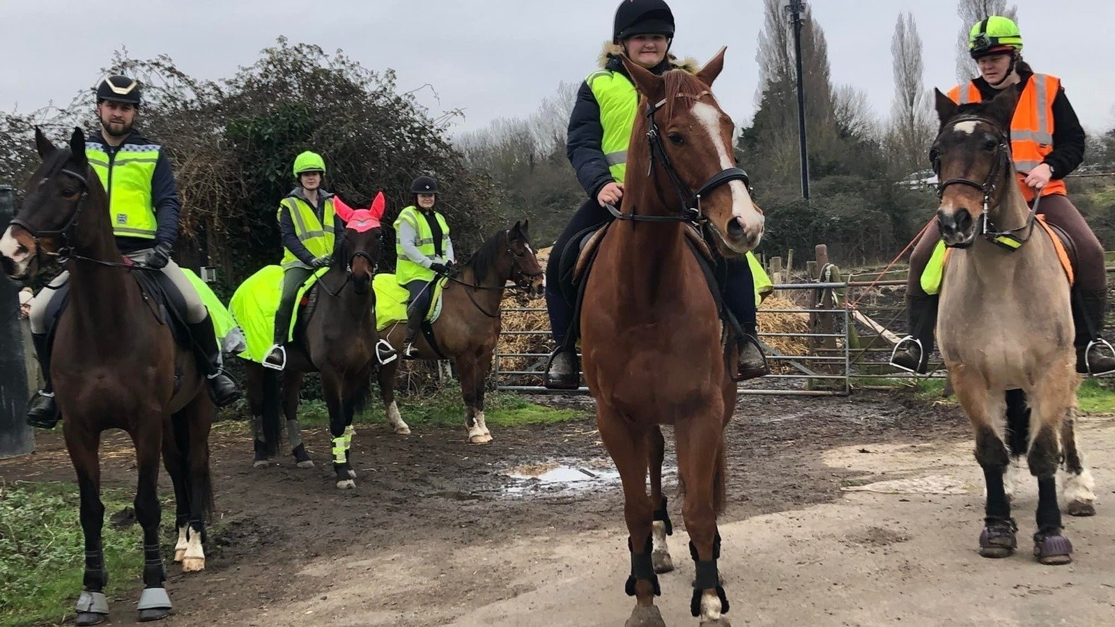 Petition · Stop the discrimination of horse riders in Spelthorne green ...