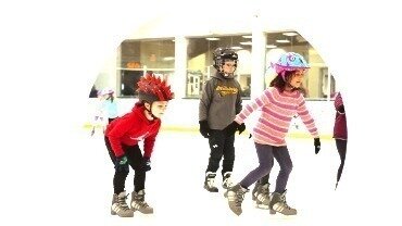 Petition · Save the Harrington Centre Ice Rink! - United States ...