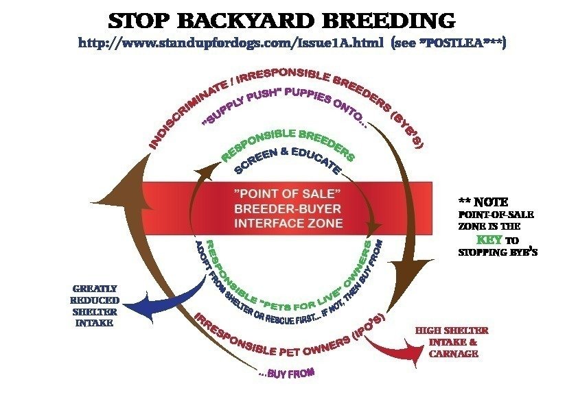 Petition · RE MUNICIPAL ANIMAL CONTROL: PLEASE SPOTLIGHT NEED FOR ...