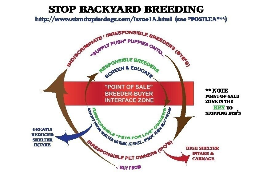 Petition · RE MUNICIPAL ANIMAL CONTROL: PLEASE SPOTLIGHT NEED FOR ...