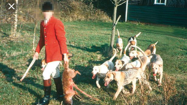Petition · STOP FOX HUNTING - United Kingdom · Change.org