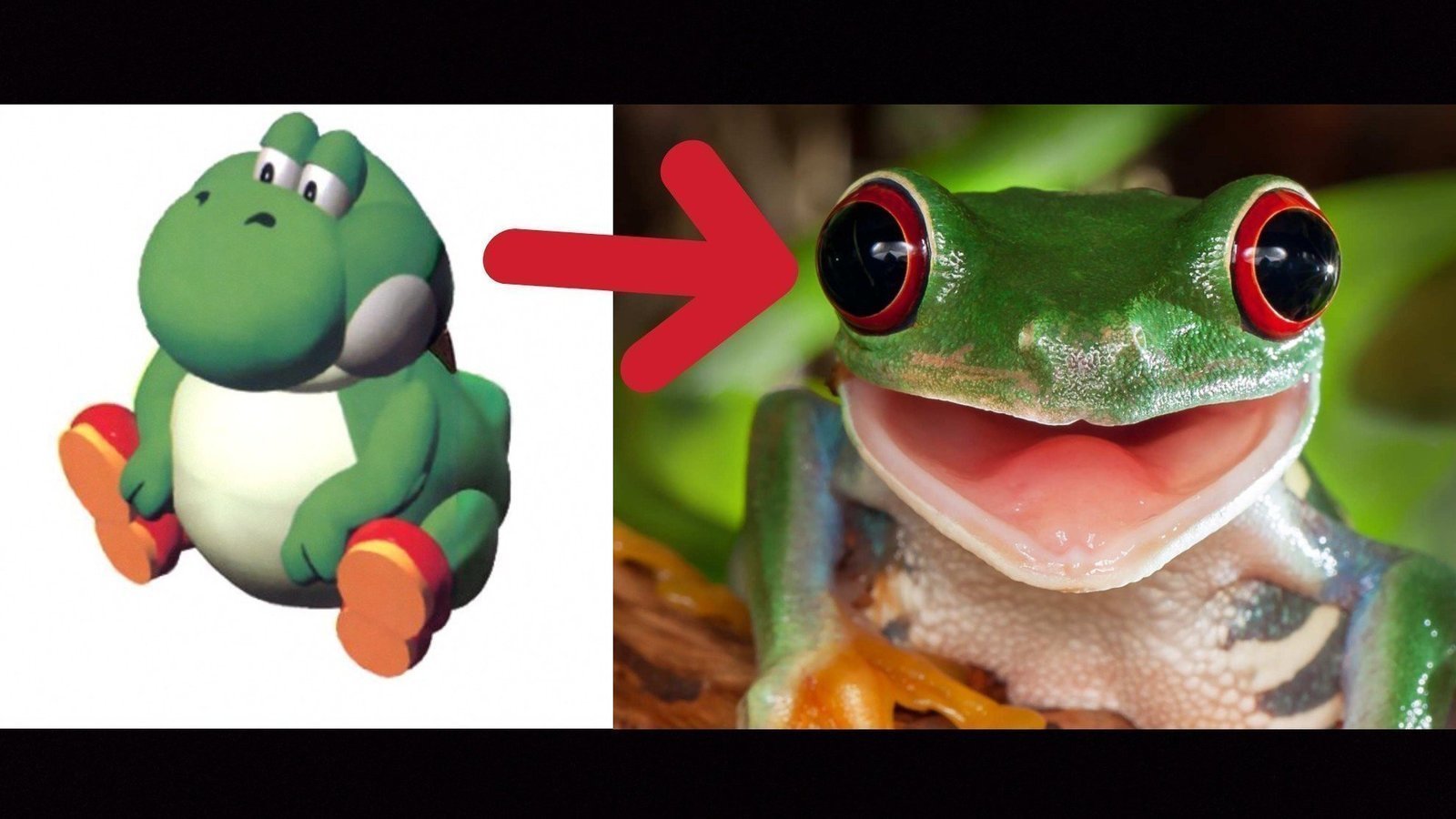 Petition · Petition to Officially Recognize Yoshi is a Frog - United ...