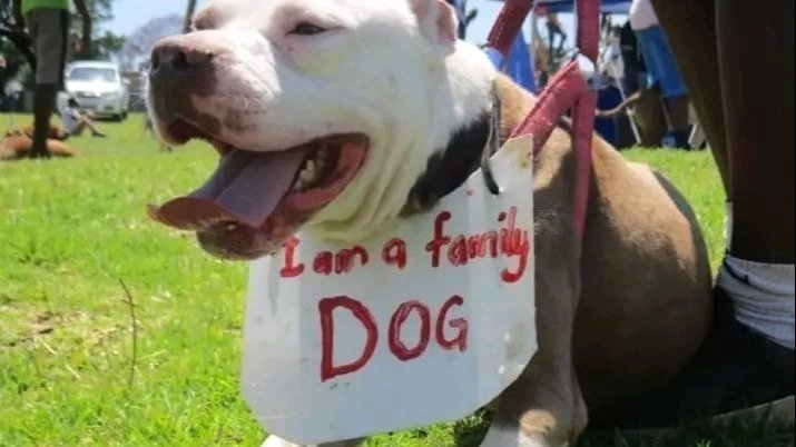 Petition · How you raise them is a determining factor, punish ...