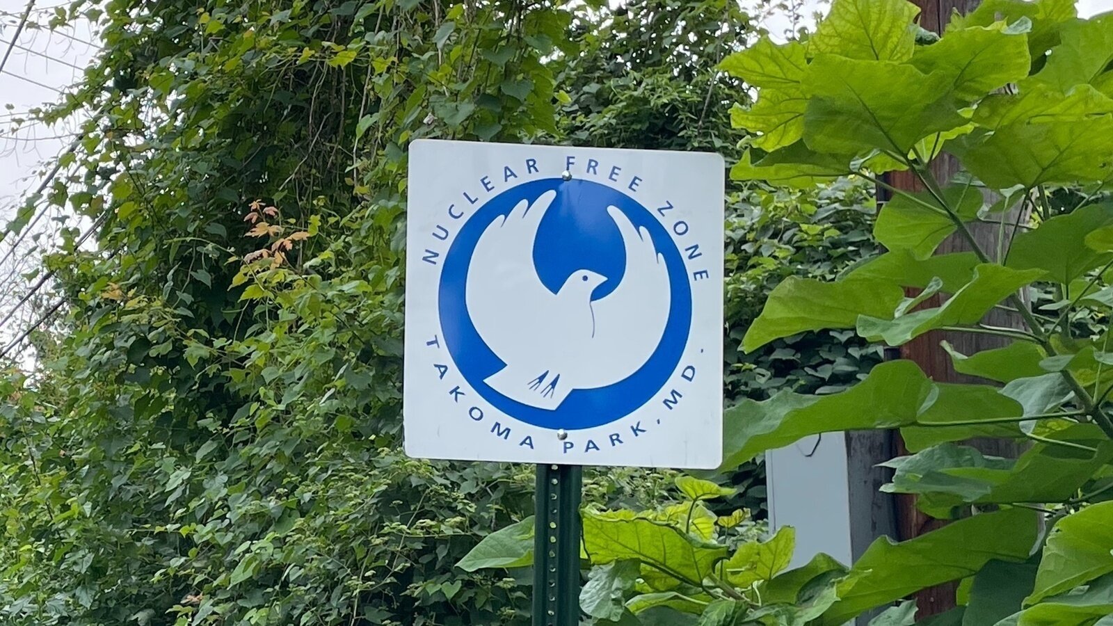 Petition · Keep Takoma Park Nuclear-Free! Restore the Nuclear-Free ...