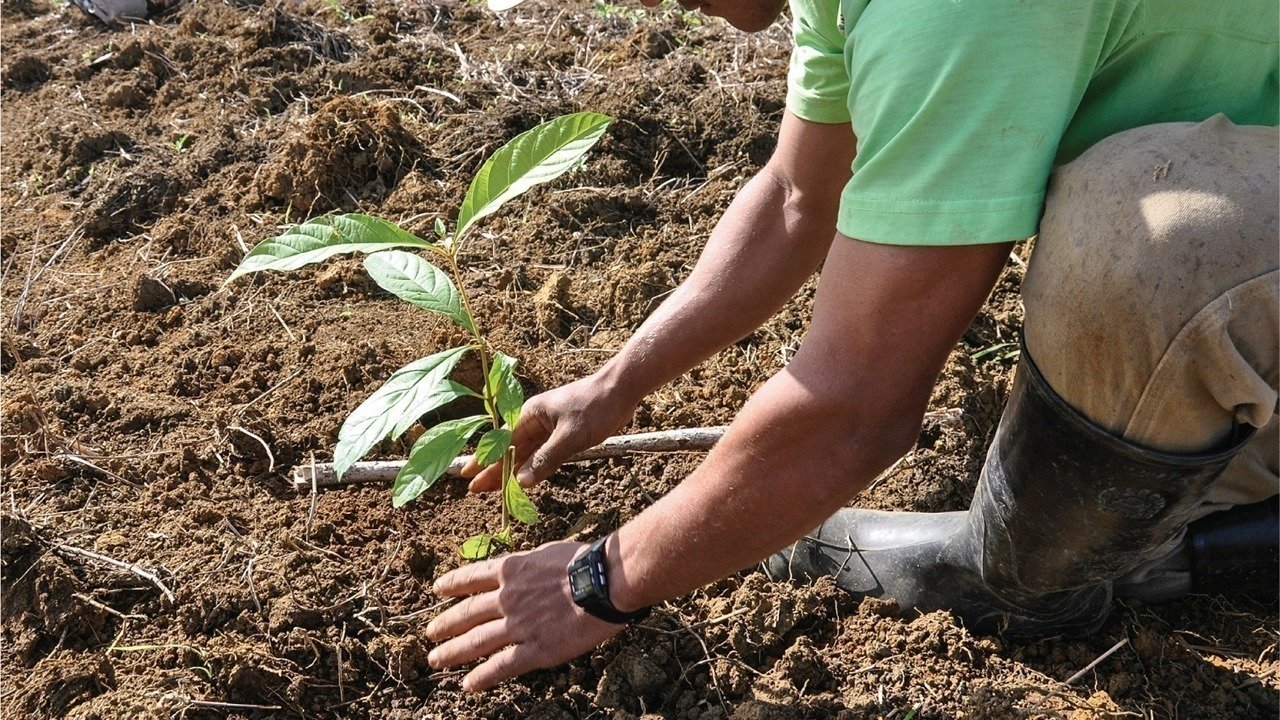 Petition · Encourage ANHS Students and Abanon Community to participate ...