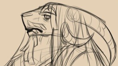 Petition · Make Chazzy Release Father Felipe Dakimakura - United States ...