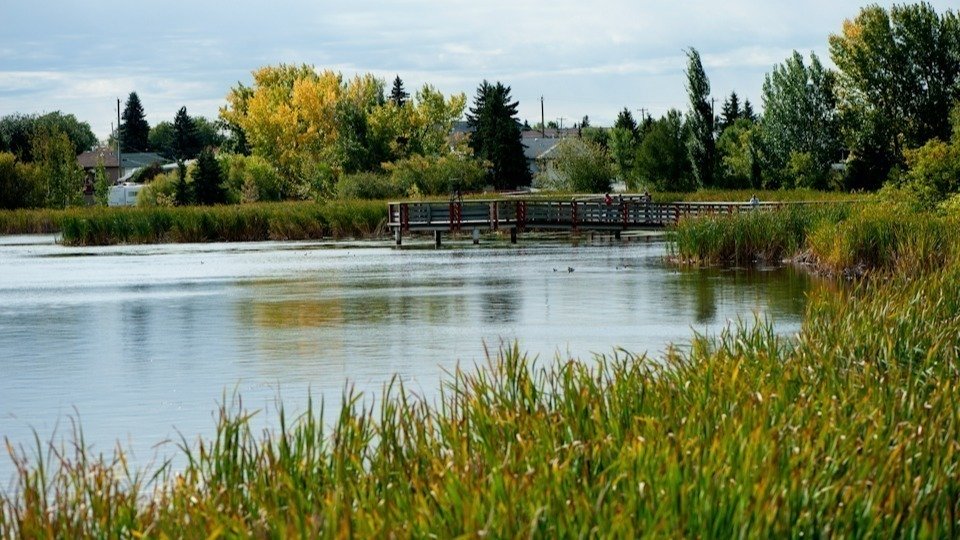 Petition · Protect Telford Lake - Canada · Change.org