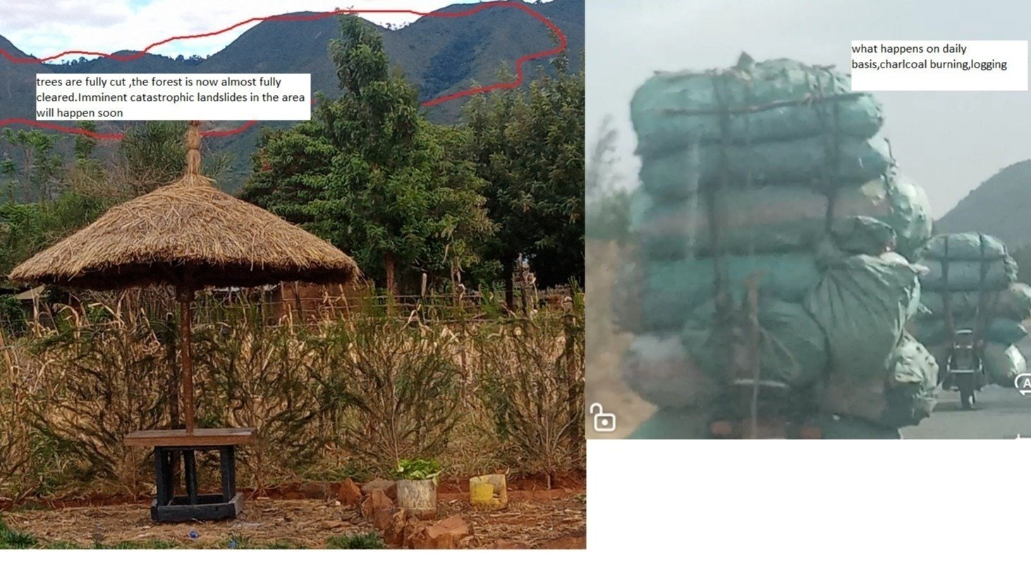 Petition · DEFORESTATION AND CLIMATIC CHANGES CONCERNS IN SUBUKIA ...