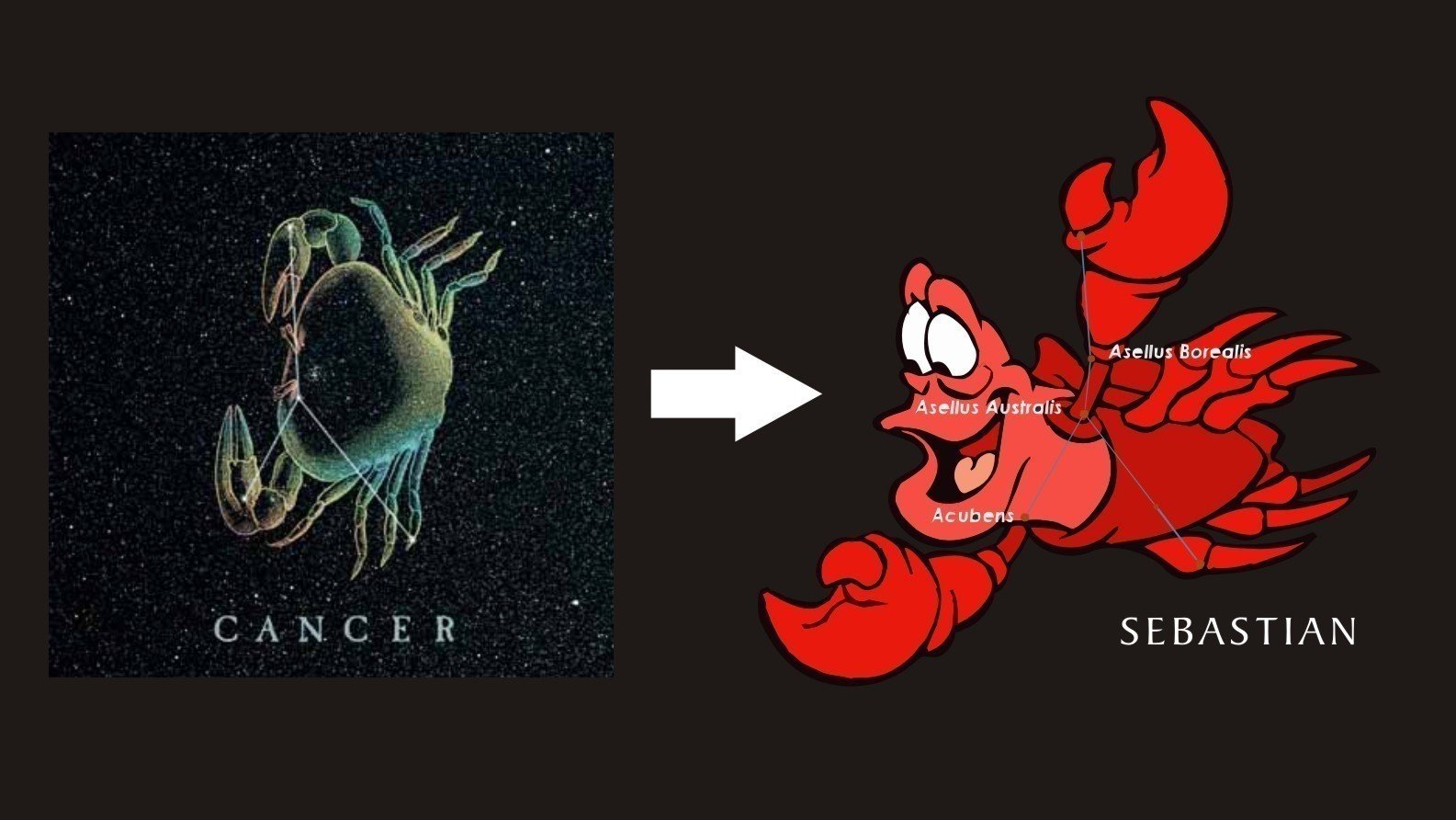 Petition · Cancer Sucks. So Let's Rename the Zodiac Constellation from ...