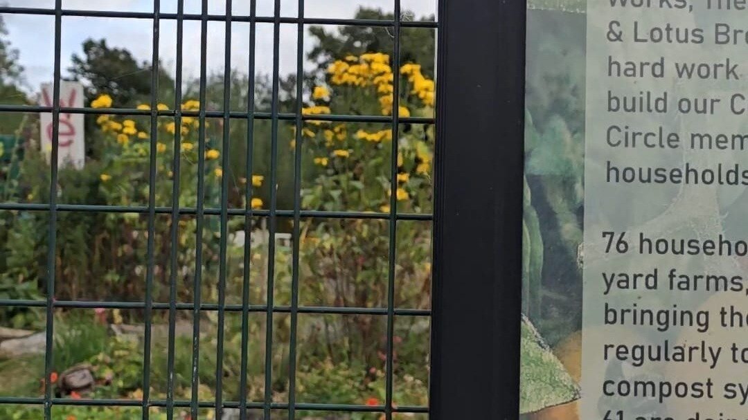 Petition · Save South Park, Bootle: Let Nature Thrive for Our Community ...