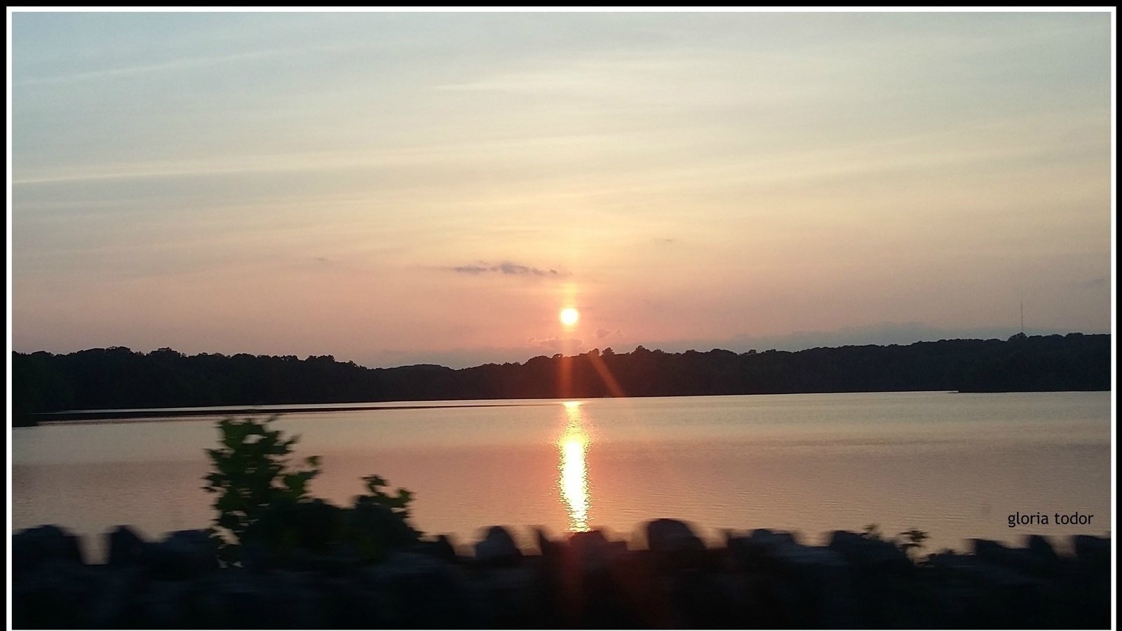 Petition · Aqua America, Inc. should open Springton Reservoir for ...