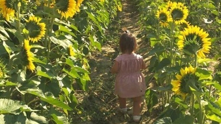 Petition · Honor the memory of 18 Month old Kayla Rose Caron - United ...