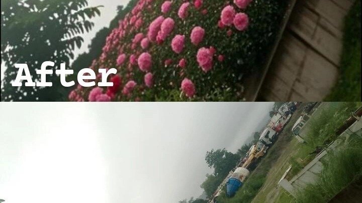 Petition · rust Ang Roses:A symphony of decay and beauty - Cuautitlán ...